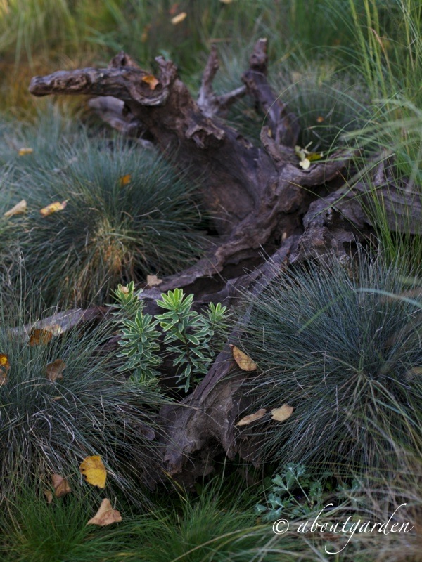 le forme del giardino naturale - ABOUTGARDEN