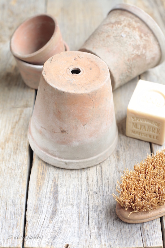 vasi per piante che soffrono l'umidità - ABOUTGARDEN